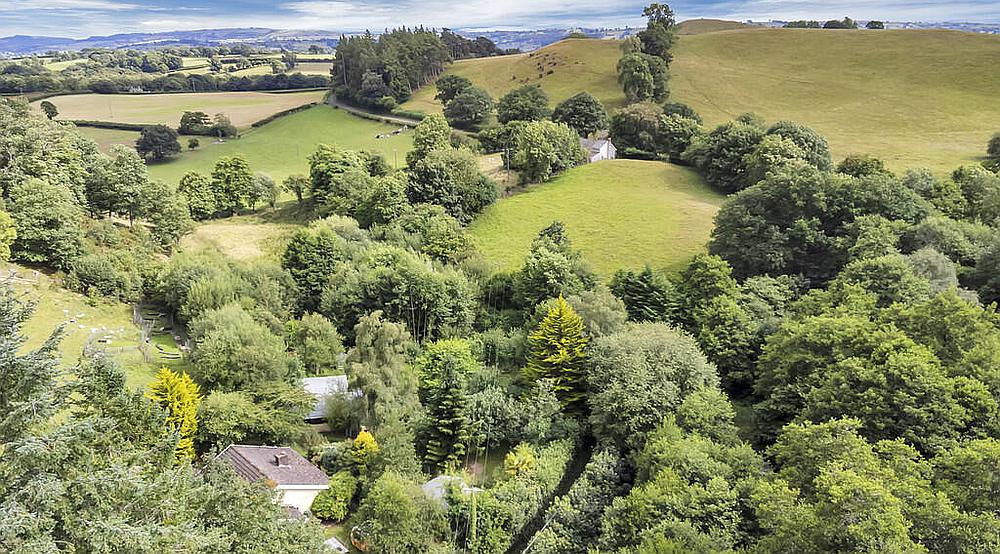 Property for Sale Dolanog POWYS | Rural Scene