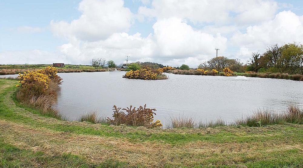 Property for Sale Winkleigh DEVON | Rural Scene